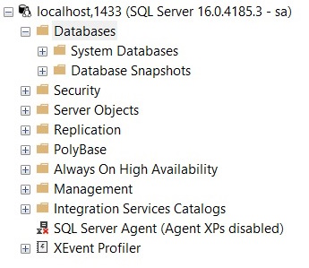 How to Use a Containerized SQL Database Server Locally using Docker